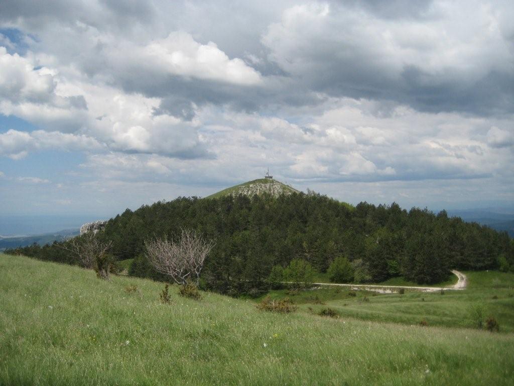 Slavnik :: ŠD Javor